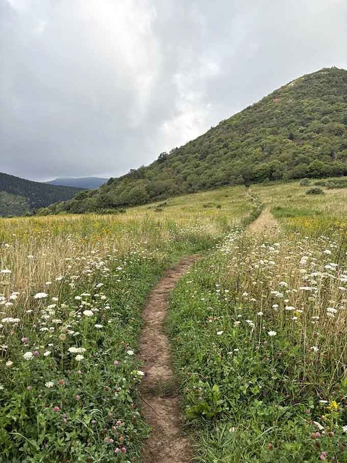Gravel paths wind through fall foliage, offering easier footing while surrounding you with the season's spectacular color show.