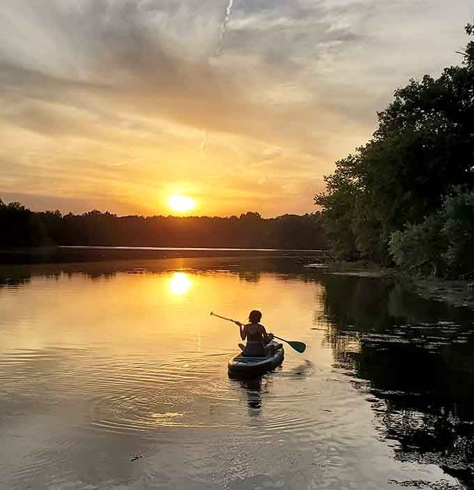 Paddling into a sunset so perfect it belongs on a motivational poster in your dentist's waiting room.
