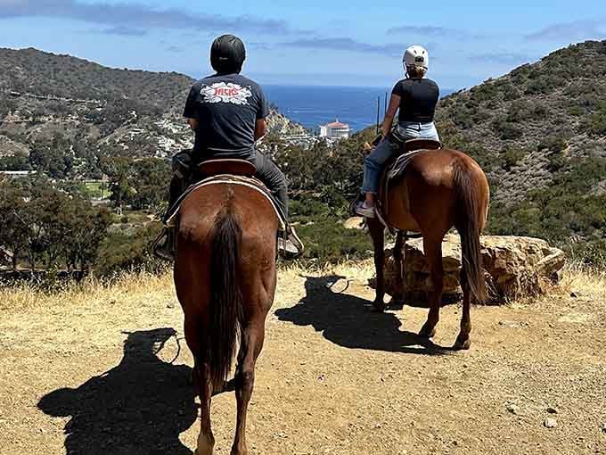 Horseback riding offers stunning views of Avalon and the Casino, proving horses have excellent taste in scenery.