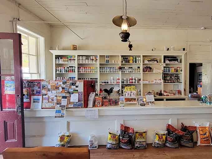 The old-fashioned counter stocked with local treats proves general stores still know how to do it right.