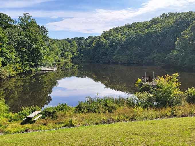 Peaceful shoreline views stretch endlessly, inviting contemplation and reminding us why Thoreau loved his pond so much.