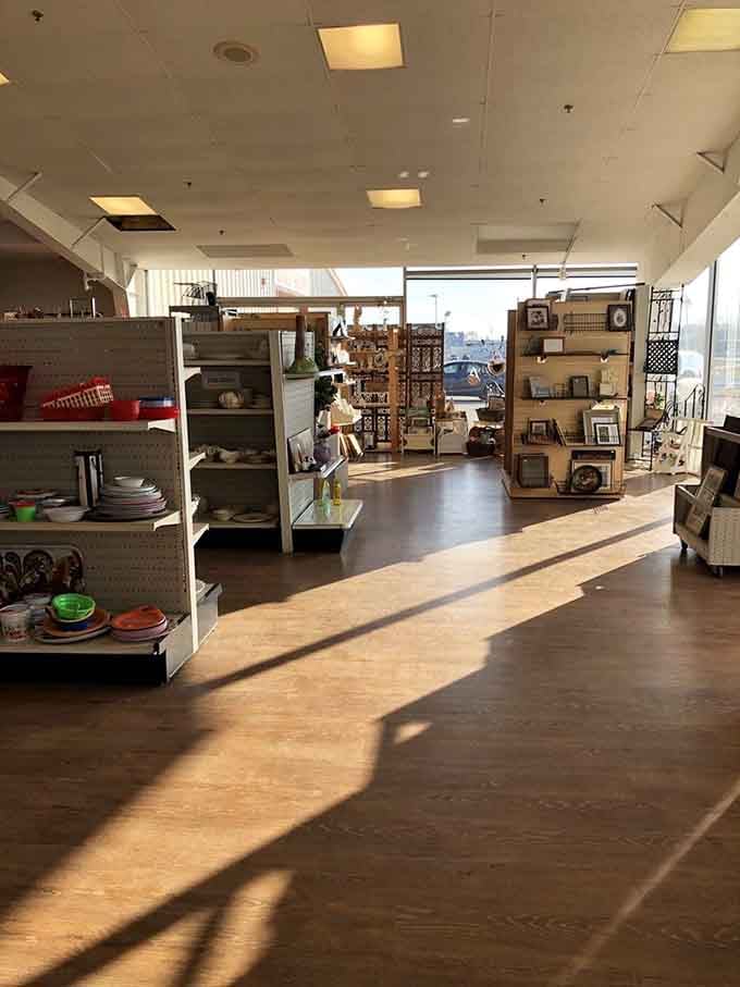 Sunlight streams through this well-organized space where household treasures patiently await their next adventure.