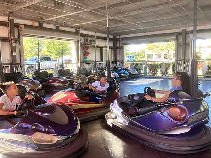 Bumper cars deliver controlled chaos where ramming your relatives is not only allowed but actively encouraged.