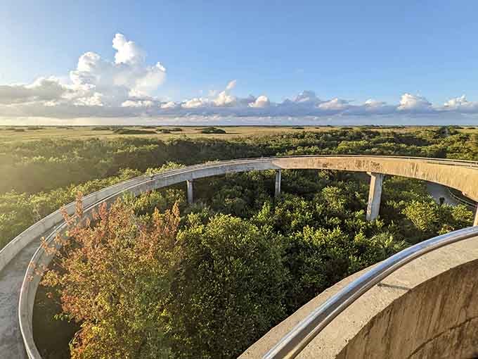 Golden hour at the tower turns the Everglades into a postcard that no filter could possibly improve upon.