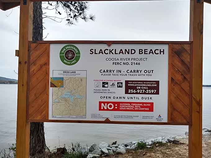 Everything you need to know before diving in, presented clearly without the usual bureaucratic nonsense.