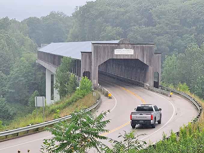 Modern vehicles meeting vintage design, proving some combinations work better than anyone expected.