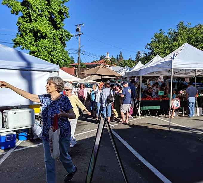 The farmers market buzzes with locals and visitors, all hunting for fresh produce and homemade treasures under white tents.