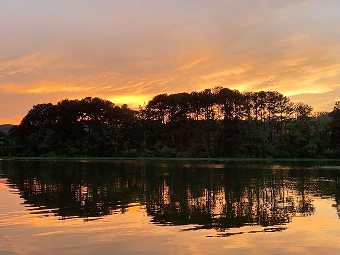 The Coosa River at sunset, proving that nature is still undefeated in the beauty department every single time.