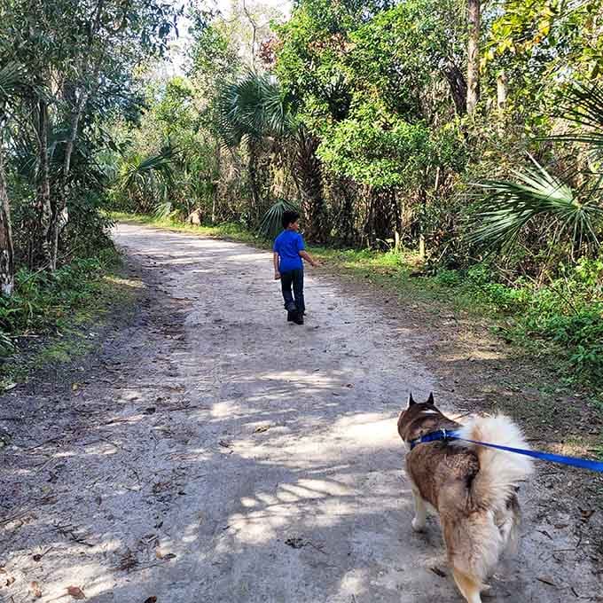Four-legged hiking companions lead the way with enthusiasm that puts our fitness trackers to shame.