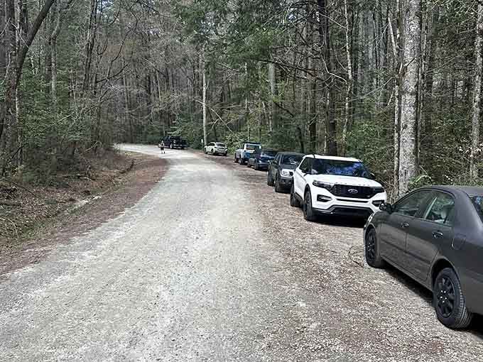 A full parking lot is the price of popularity, so arrive early to snag your spot.