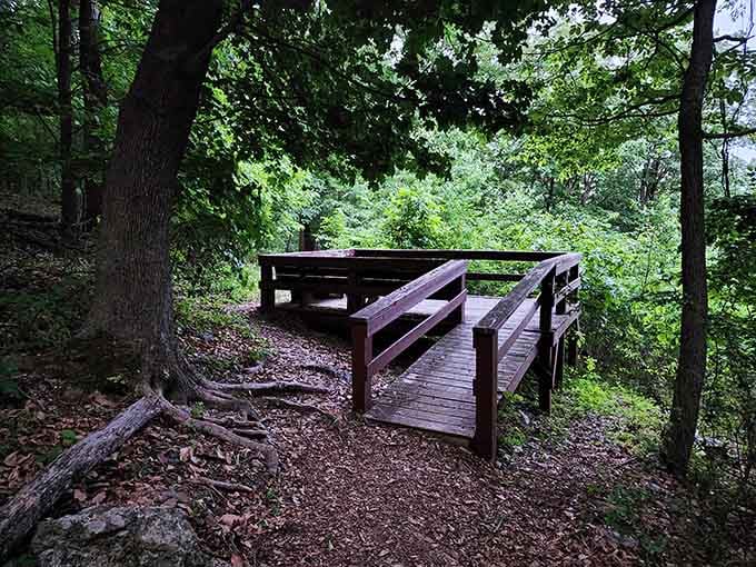 Betsy Bell Wilderness Park offers trails perfect for building up an appetite that Staunton's restaurants will happily satisfy later.