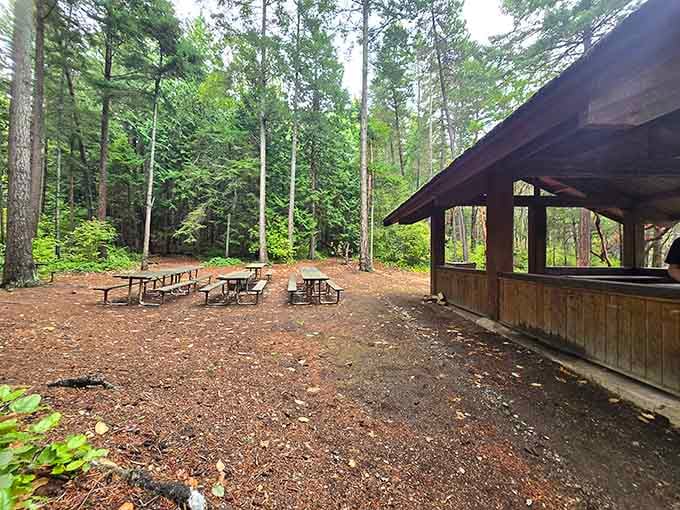 Picnic shelters offer gathering spots where families can enjoy meals with views that five-star restaurants would charge extra for.