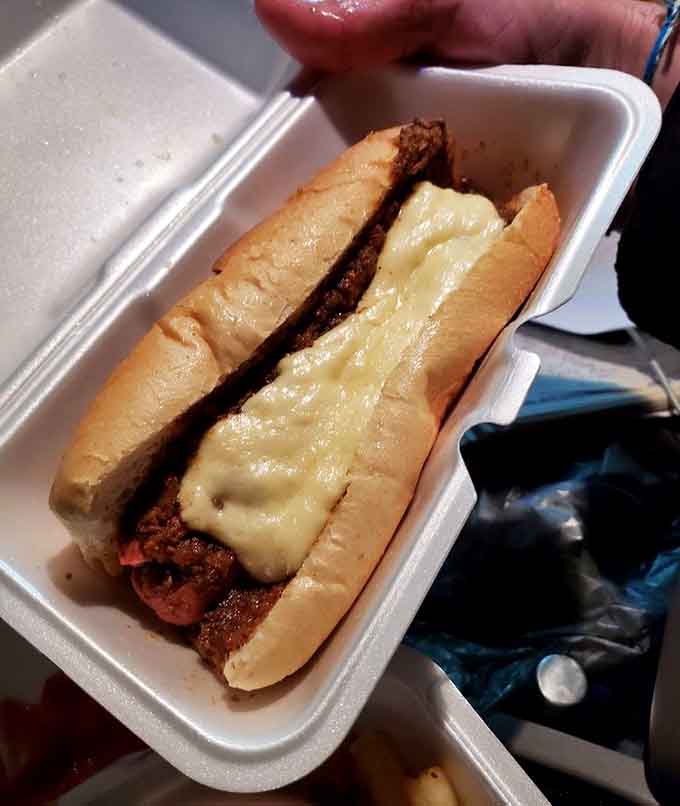 That glossy cheese pooling inside a soft roll around a steamed hot dog proves the method works beautifully beyond just burgers alone.