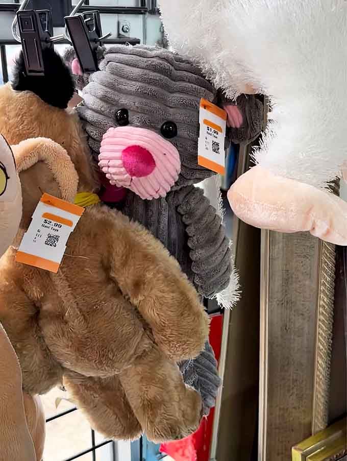 Even stuffed animals find second chances here, waiting patiently for someone to love them all over again.