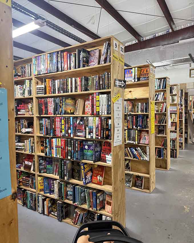 Organized sections make finding your favorite genre easier than parallel parking, which is saying something for most of us.