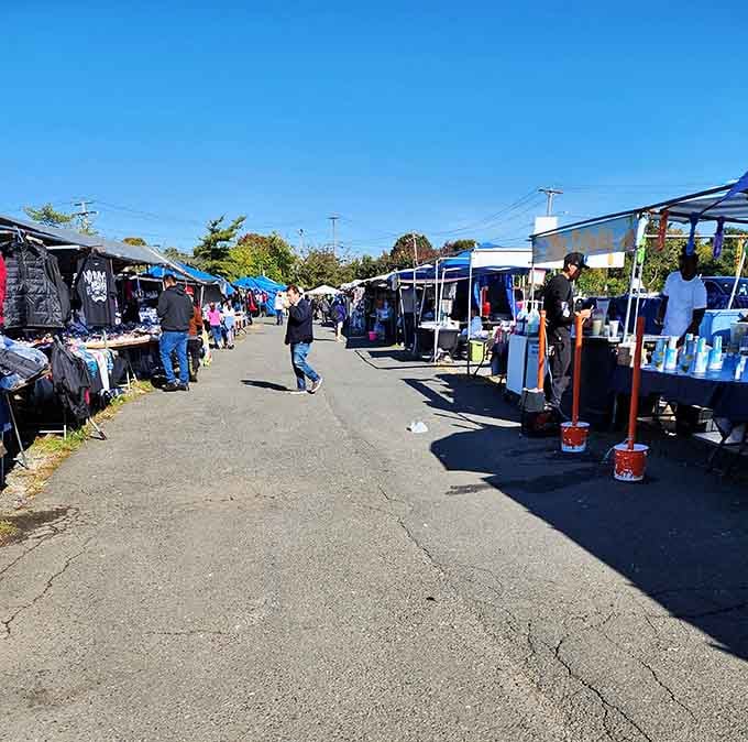 Blue skies and endless aisles stretch ahead, promising discoveries around every sun-drenched corner you explore.