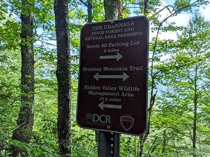 Clear directional signs keep you on track so you can focus on enjoying the scenery.