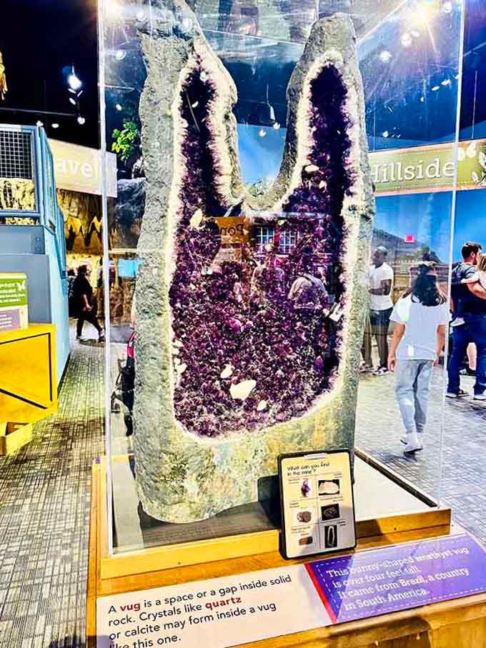 A massive amethyst geode proving that Mother Nature has always been the ultimate interior designer.