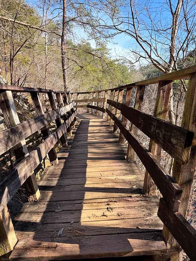 This sturdy boardwalk curves through the wilderness, proving civilization and nature can shake hands and get along.