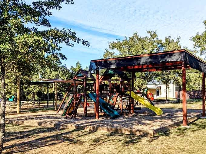 Modern playground equipment sits ready for kids who need a break from their prehistoric expedition through time.