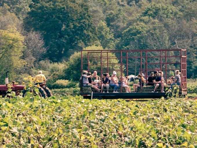 Hayride passengers enjoying the scenic tour, because sometimes the best seat in the house has actual hay in it.