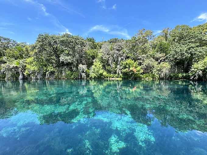 Caribbean vibes in the heart of Texas, proving you don't need a passport for paradise.