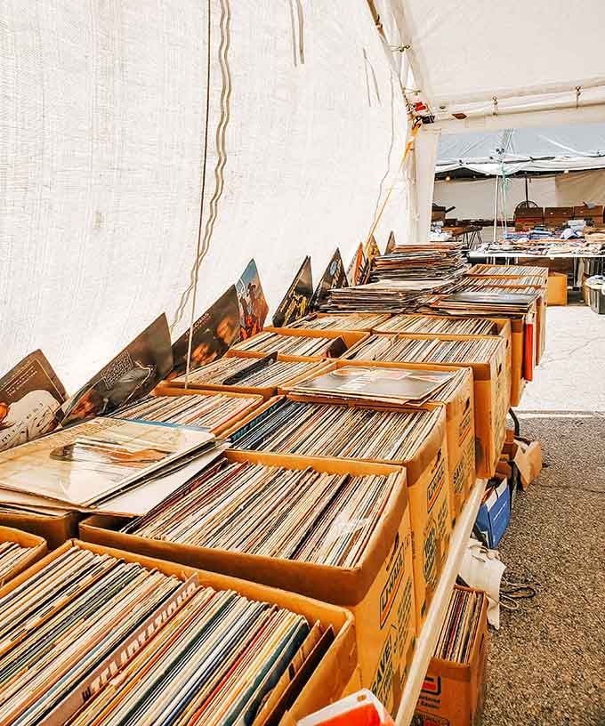 Vinyl records filed in wooden crates, offering analog music lovers a chance to expand their collections one album flip.