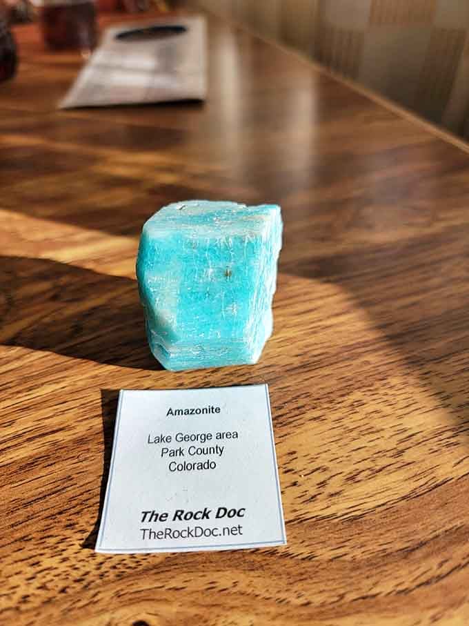 Amazonite from Lake George area gleams turquoise blue, looking more like a gemstone than humble Colorado rock.