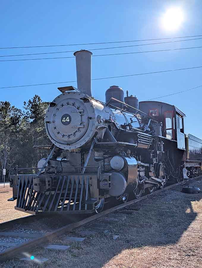 When sunlight hits a steam locomotive just right, you understand why these machines inspired so much poetry.