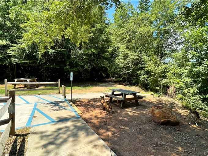 Picnic tables nestled in the shade make the perfect spot for sandwiches and tall tales.