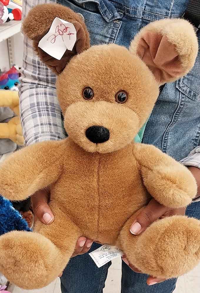 This teddy bear's looking for a new home and costs less than your morning coffee, adoption fees negotiable.