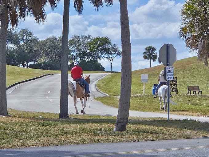Only in Davie do horseback riders share the trails with hikers, keeping that authentic Western heritage alive and well.