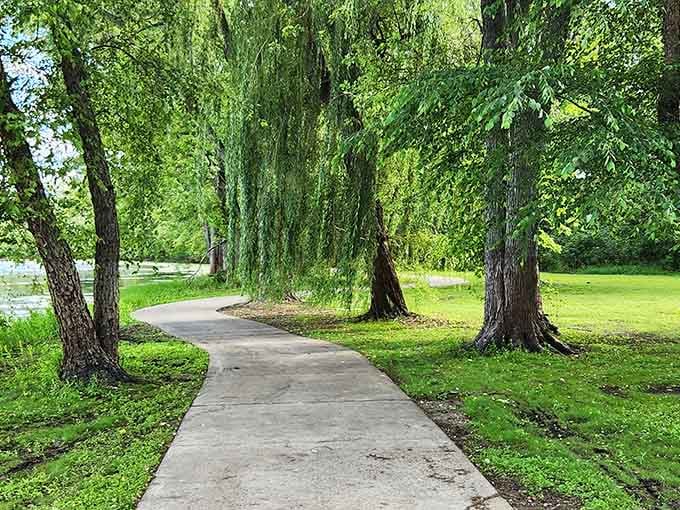 Malone Park's winding paths invite leisurely strolls under trees that have seen generations pass by.