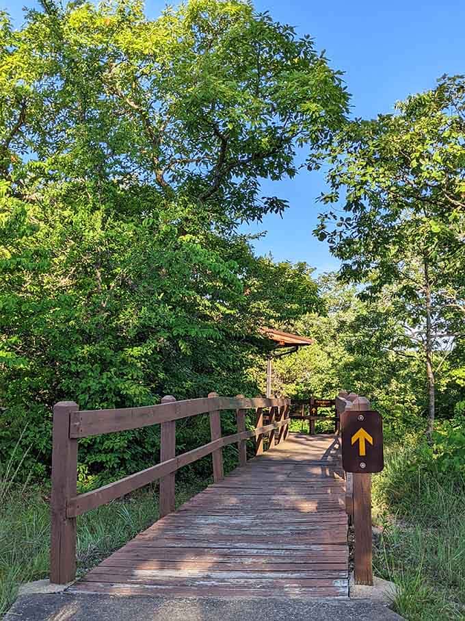 Wooden boardwalks guide you gently through wetlands where nature does its best work undisturbed.