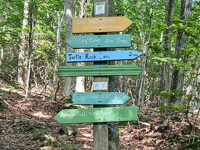 Trail markers guide adventurers to Judges Cave and beyond, because getting lost is only fun in the movies.