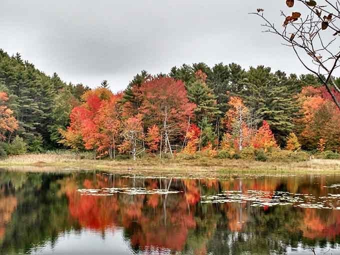 Fall foliage reflects perfectly in still waters, creating postcard scenes you don't have to pay admission to see.