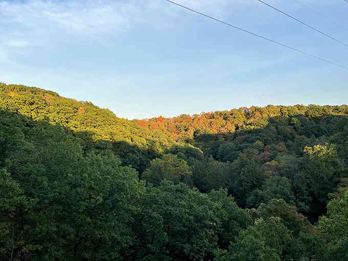 Autumn paints the gorge in colors that make you understand why people get so emotional about fall foliage.