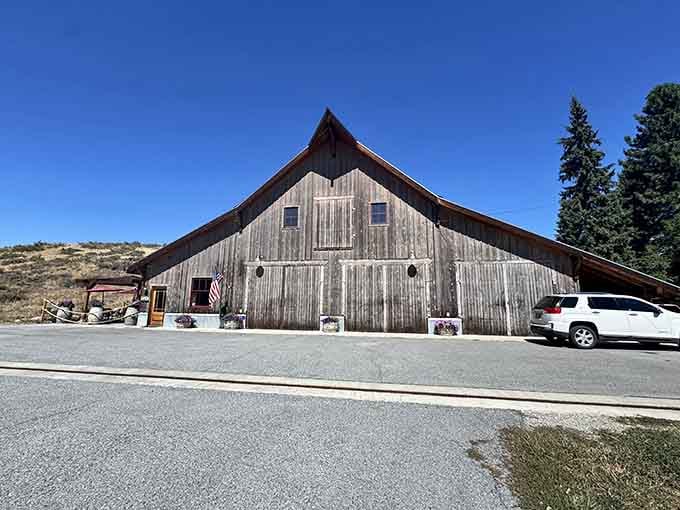 This weathered barn-turned-winery proves that great wine doesn't require pretentious tasting rooms, just honest craftsmanship and mountain character.