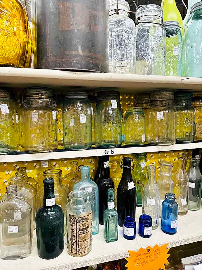 Antique bottles line shelves in amber and blue, each one a miniature time capsule from pharmacies past.