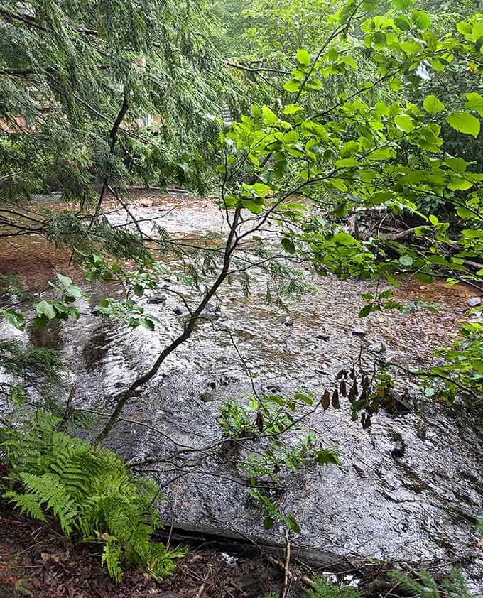 Lush greenery surrounds the river like nature's own security blanket, soft and reassuring in every shade of green.