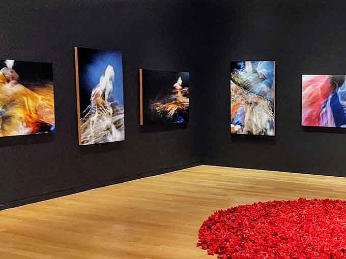 Dark gallery walls showcase ethereal photographs that blur and swirl like memories caught in motion and light.