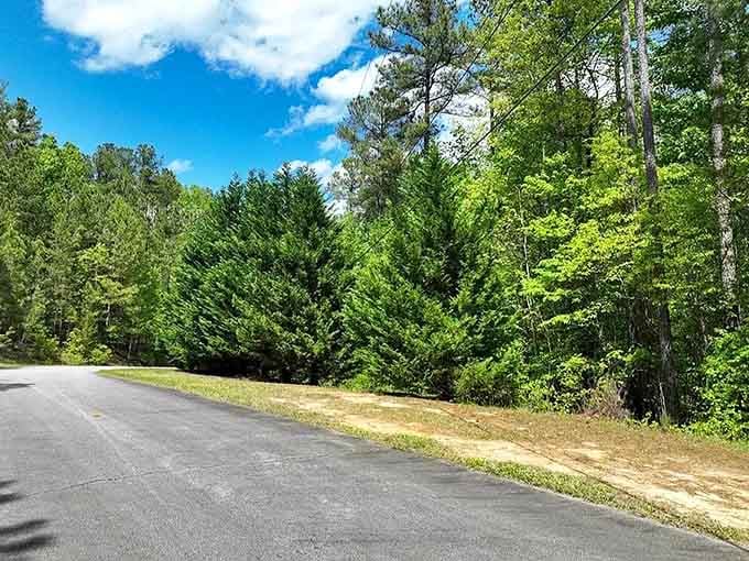 Lush greenery frames winding roads that lead to discoveries you'd miss entirely on the interstate highway system.