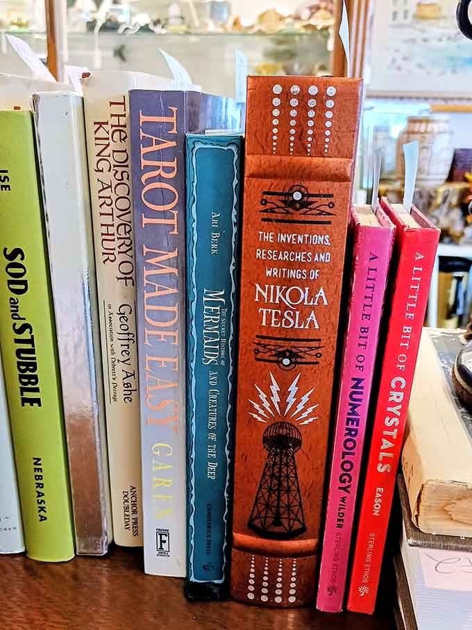 Nikola Tesla's writings sit alongside other fascinating reads that beat scrolling social media any day.