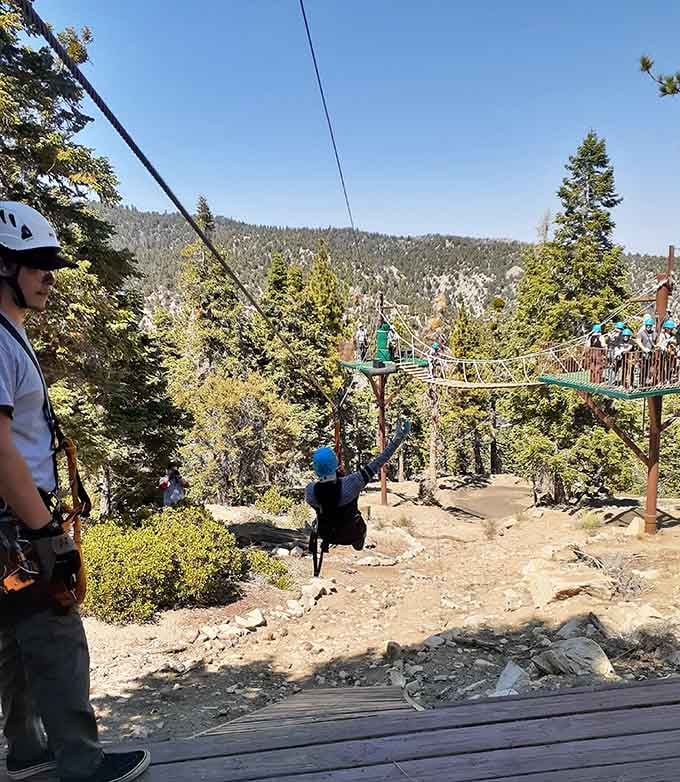 Multiple platforms mean multiple opportunities to question your life choices while having the time of your life.