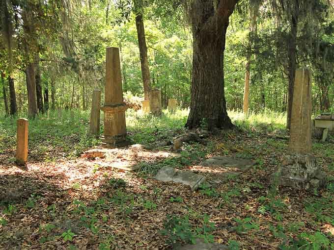 Dappled sunlight filters through ancient branches onto markers that have weathered more storms than anyone can count.