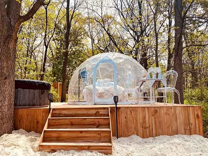 Glamping done right: when roughing it means a transparent dome with a hot tub instead of arguing about tent poles.