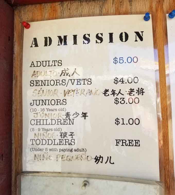 At these prices, experiencing living history costs less than movie tickets and delivers infinitely more educational value.