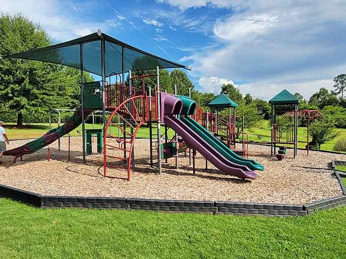 Rees Park Playground gives kids a place to burn energy while parents enjoy the surrounding green spaces.