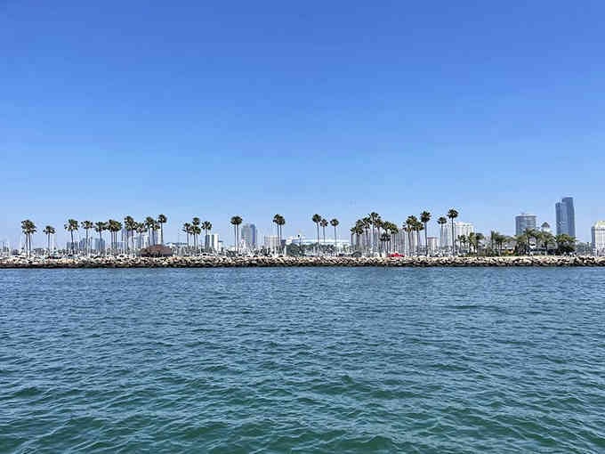 Palm trees, blue water, and endless sky, this is the California you moved here for in the first place.