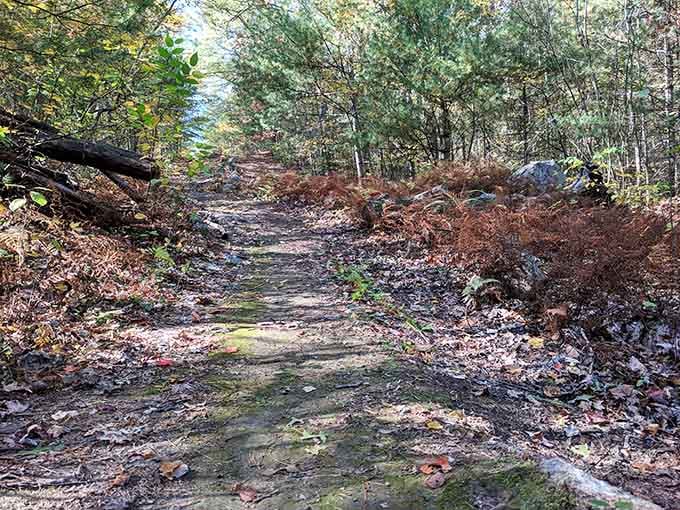 Autumn leaves carpet the trail in nature's own welcome mat, crunching satisfyingly with every single step you take.